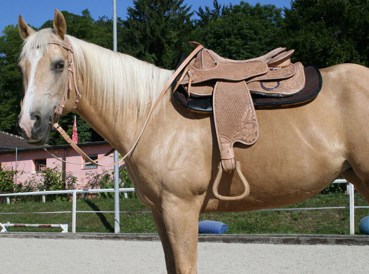 Barefoot Virginia Rose Saddle – Sellerie Équi-Confort - BAREFOOT QUÉBEC